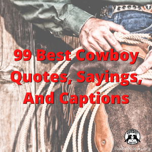 99 Best Cowboy Quotes, Sayings, And Captions - Cowboy Quotes